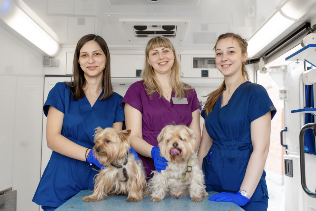 Investing in Your Veterinary Team: Employee Wages and Benefits ...